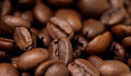 State of the art coffee making equipment - EW Media Inc